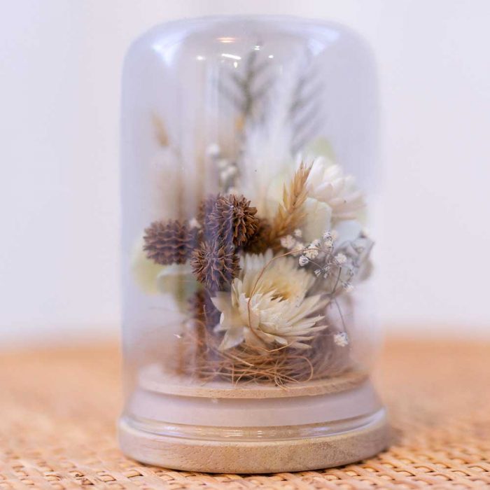 Designer Dried Flower Domes - Bella Rosa Designer Florist Tauranga